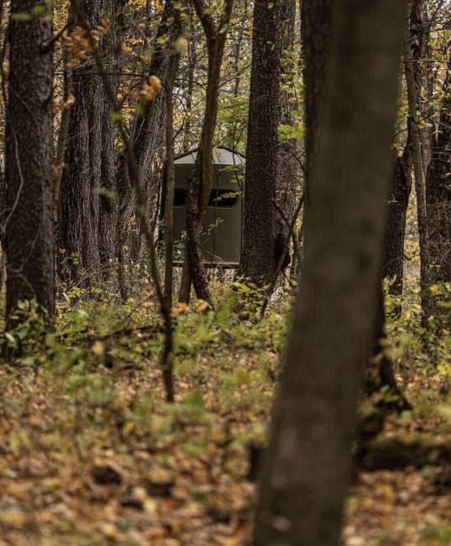 Hunting Blinds – Concrete Perceptions